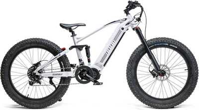 Ebikes Online: Fast Shipping Electric Bikes Designed in Canada